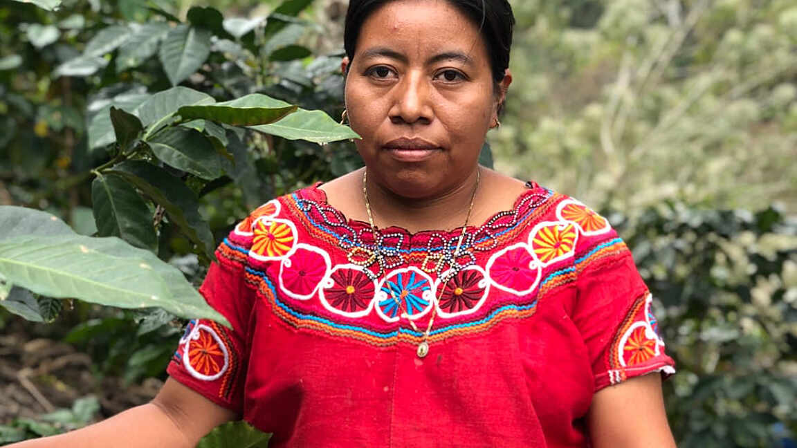 Women empowerment in Guatemala - Volcafe