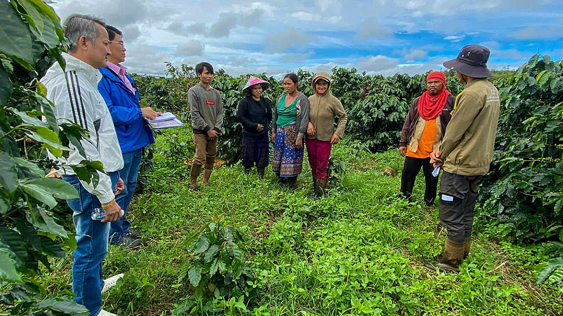 Volcafe Vietnam expands its offering of responsibly sourced coffee ...