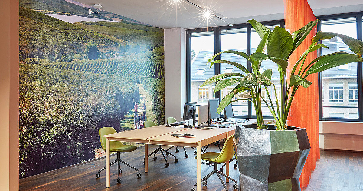 Volcafe Ltd (Switzerland) - Volcafe