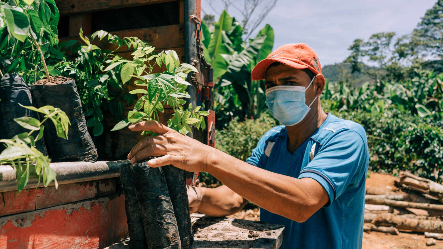Reforestation project in Honduras - Volcafe