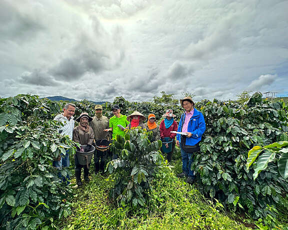 Volcafe Vietnam expands its offering of responsibly sourced coffee ...