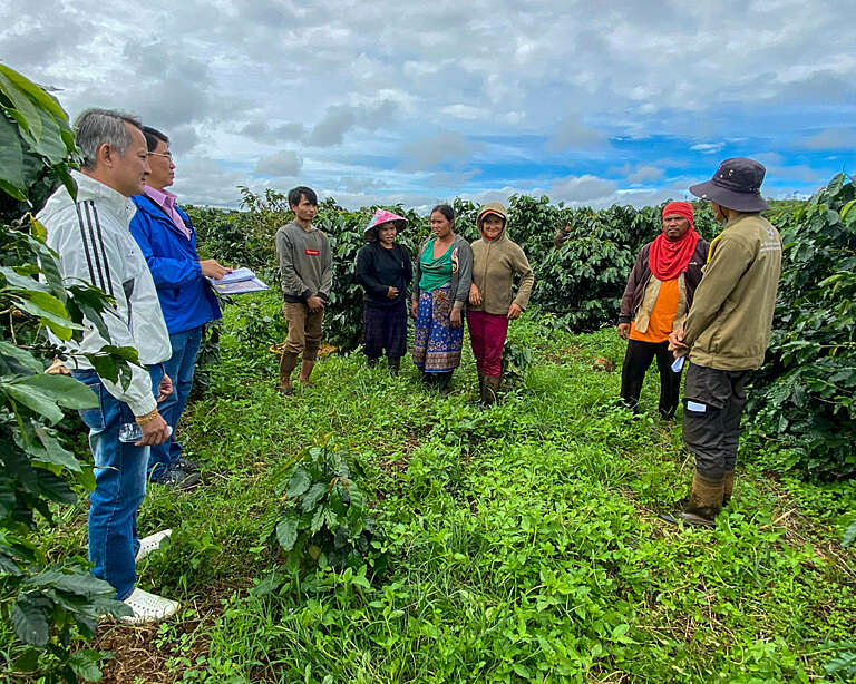Volcafe Vietnam expands its offering of responsibly sourced coffee ...